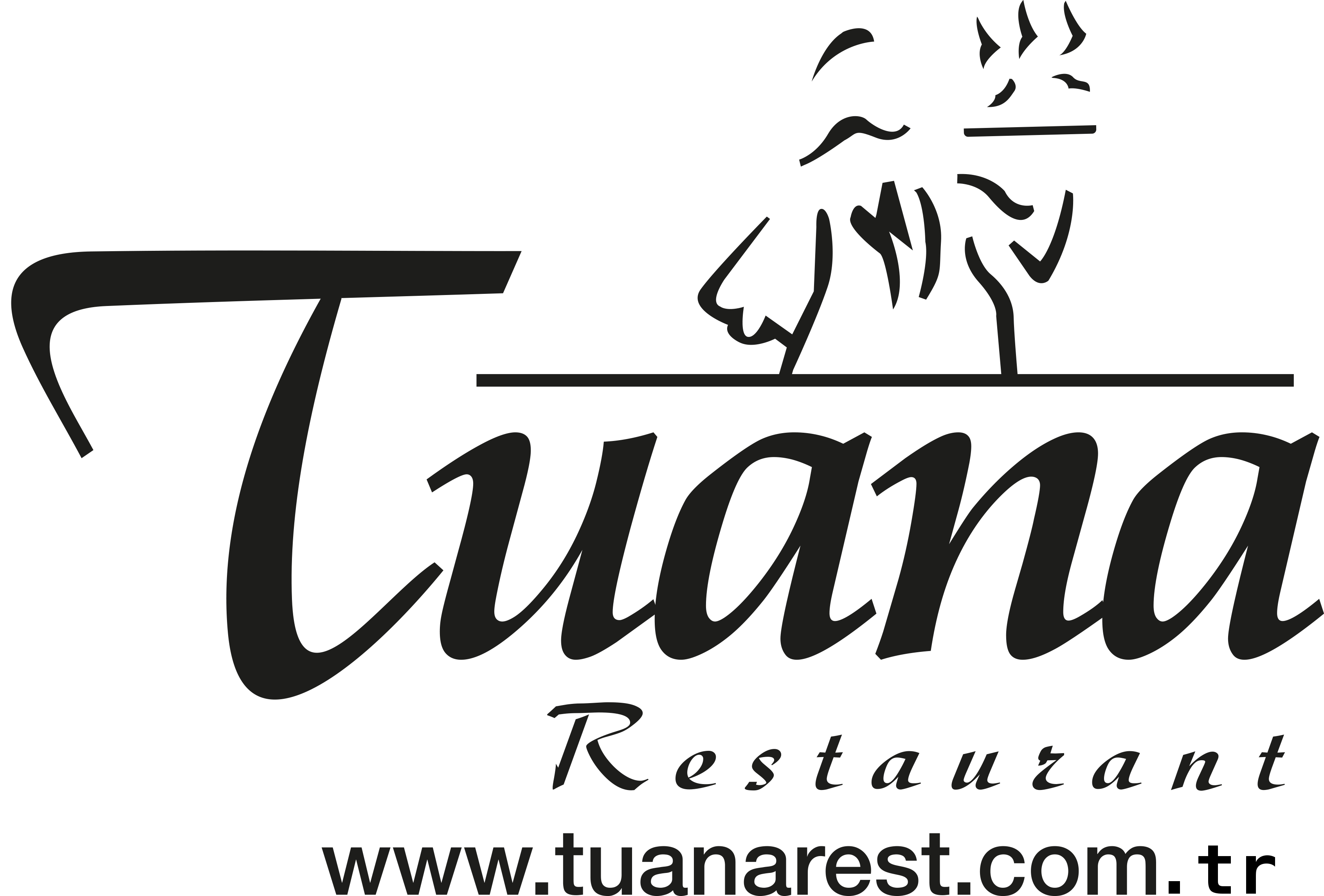 Tuana Restaurant - Düğün Salonu